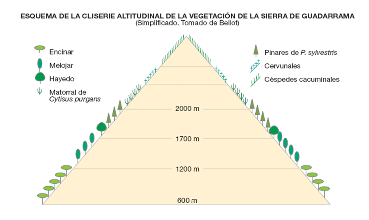 Gálata Moribundo | Aula de Historia · Preparador oposiciones Geografía ...
